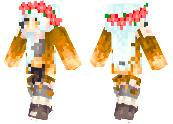 Minecraft Skins | Download the best Minecraft Skins