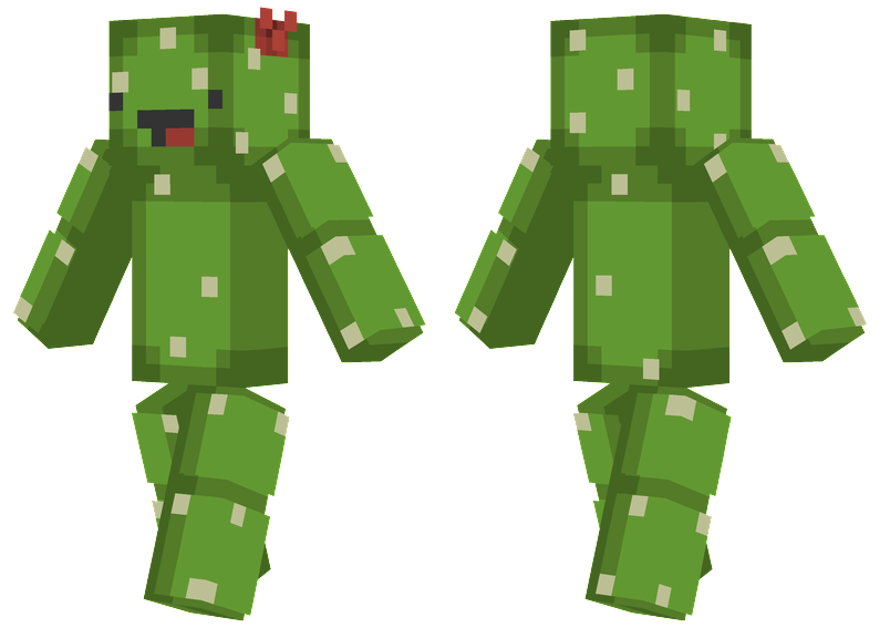 Happy Cactus | Minecraft Skins