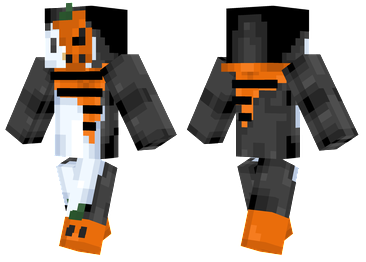Raccoon | Minecraft Skins